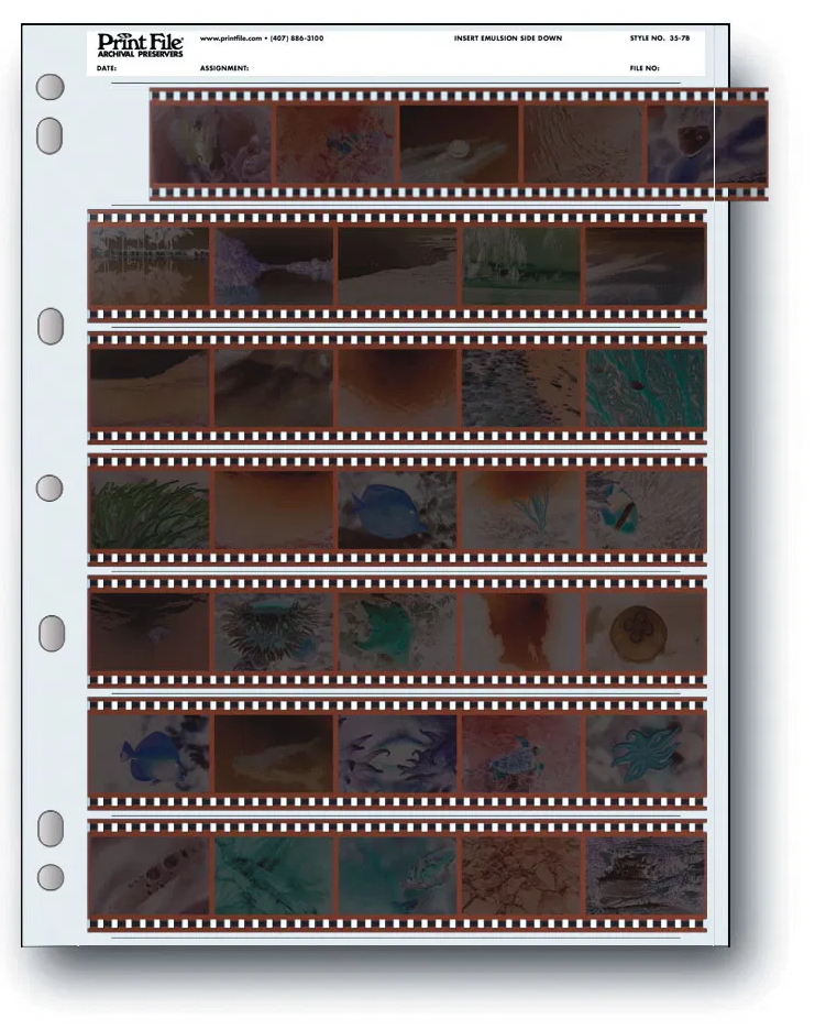 Preserving Photographic Prints, Slides and Negatives - B&F: Jewish ...