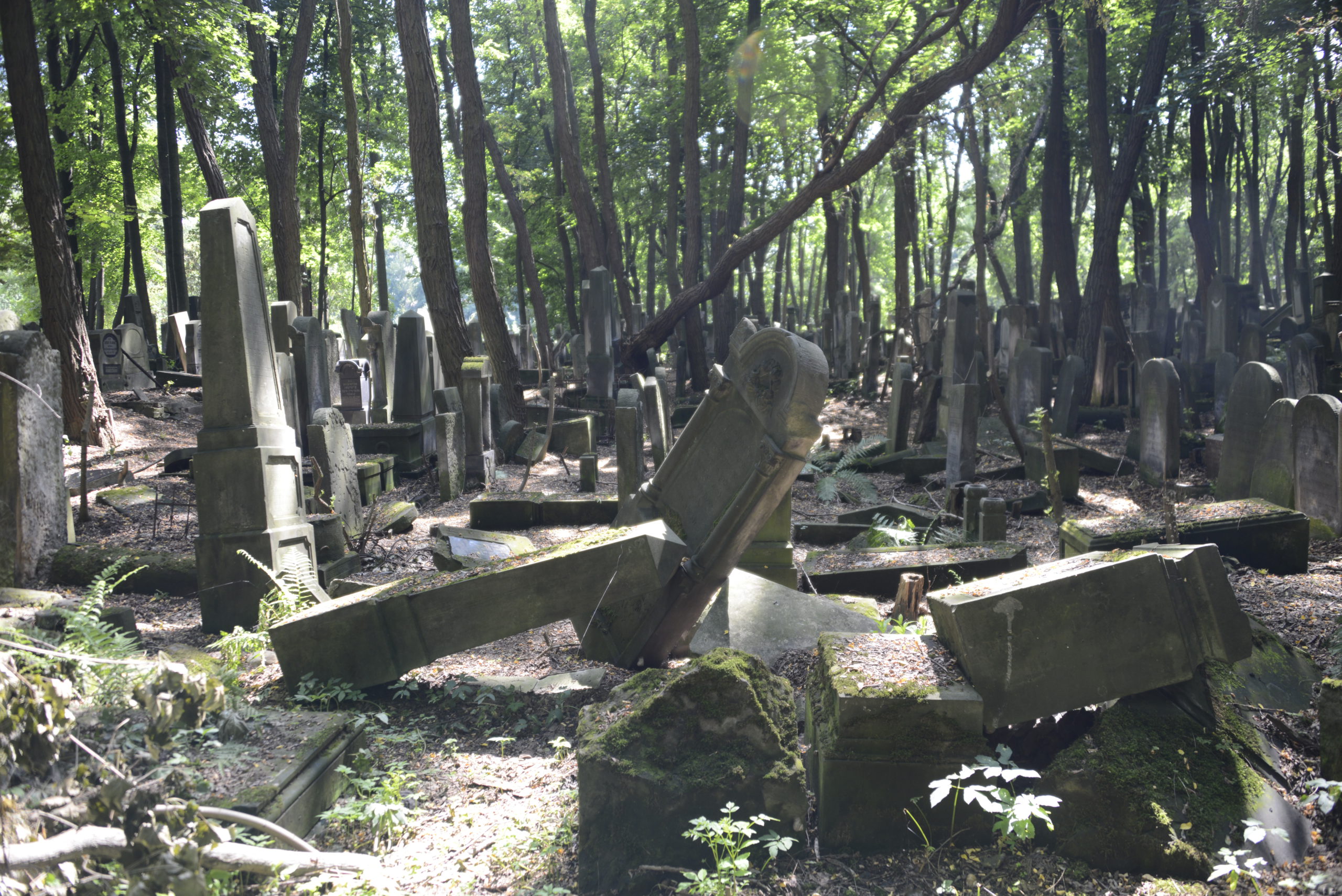 Jewish cemeteries in Poland - B&F: Jewish Genealogy and More